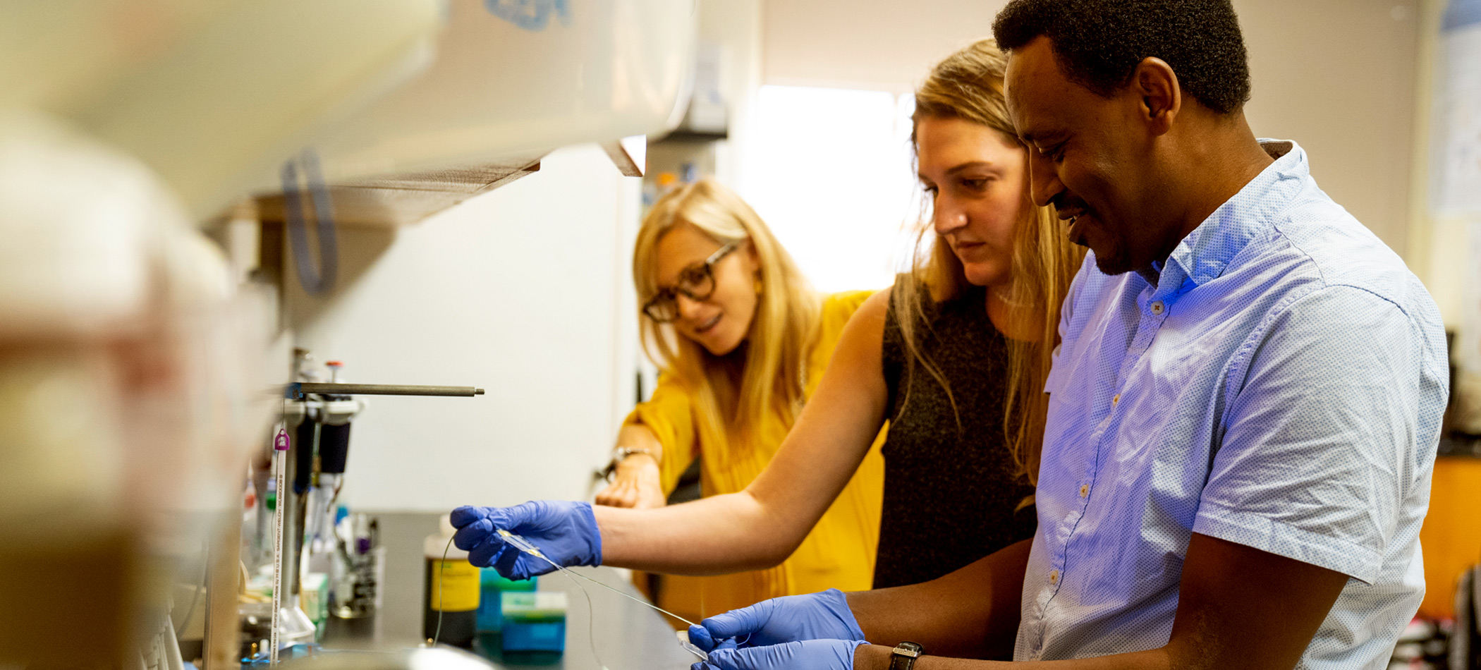 Biophysics Curriculum - College of Arts and Sciences - University of ...