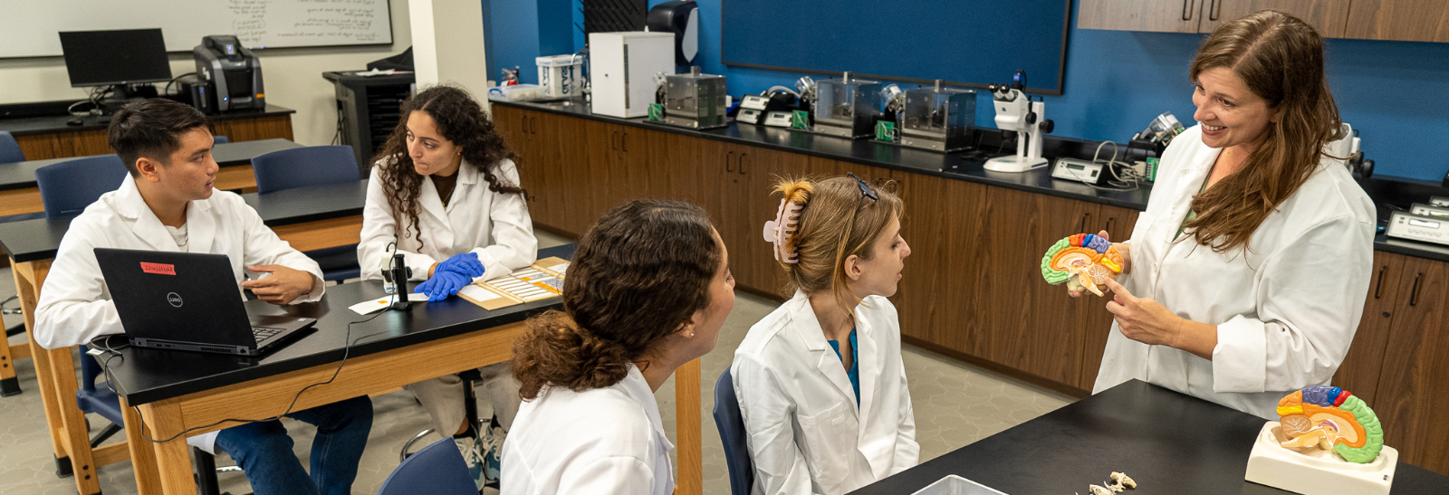 Department of Neuroscience, Cognition and Behavior - College of Arts ...