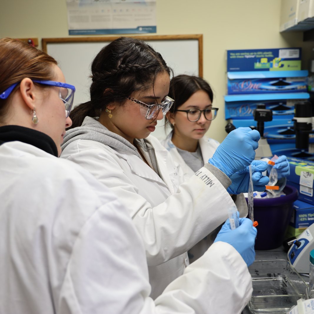 The Natural Sciences - College of Arts and Sciences - University of San ...