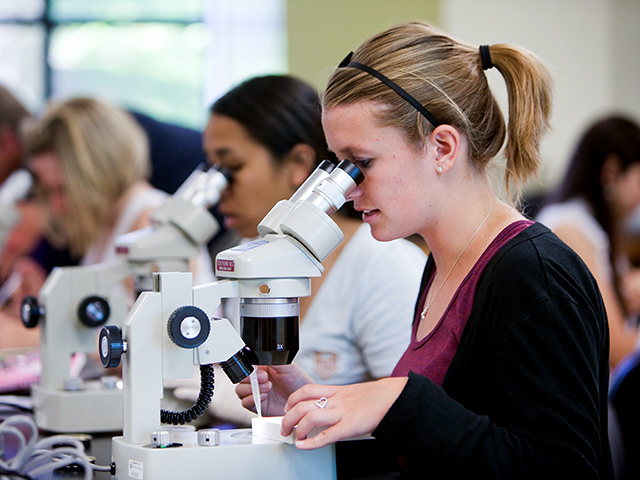 Department of Chemistry and Biochemistry - College of Arts and Sciences ...