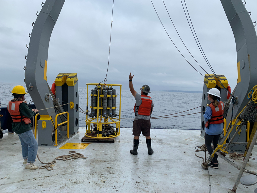 Environmental and Ocean Sciences Careers and Internships - College of ...