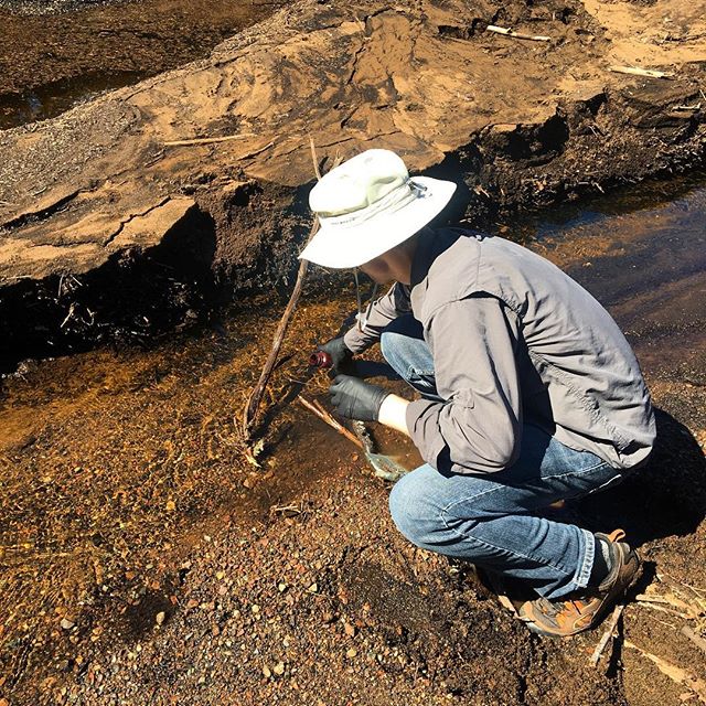 Environmental and Ocean Sciences Careers and Internships - College of ...