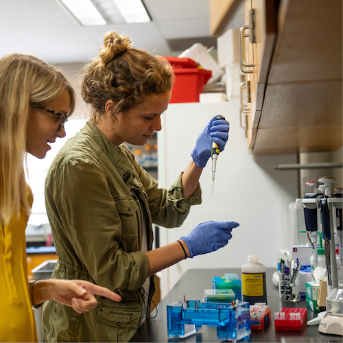 Department of Physics and Biophysics - College of Arts and Sciences ...