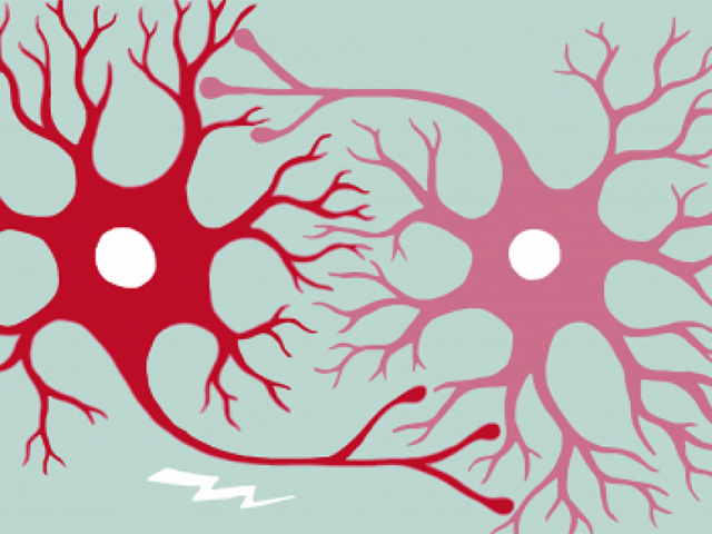 Department of Psychological Sciences - College of Arts and Sciences ...