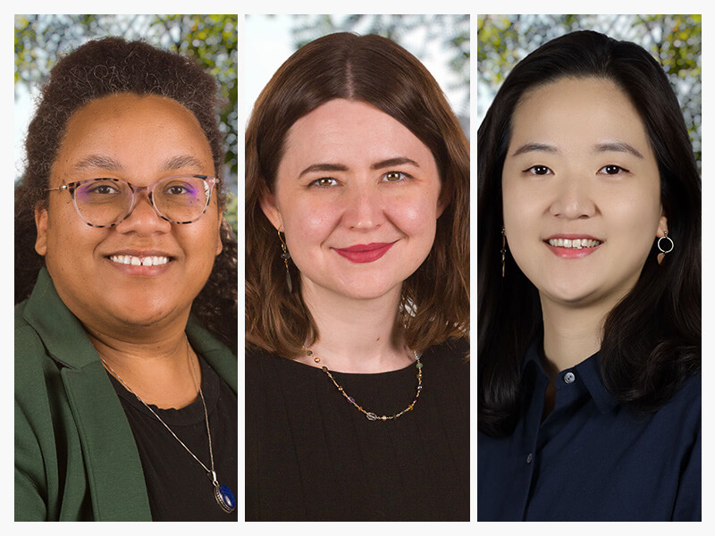 University of San Diego