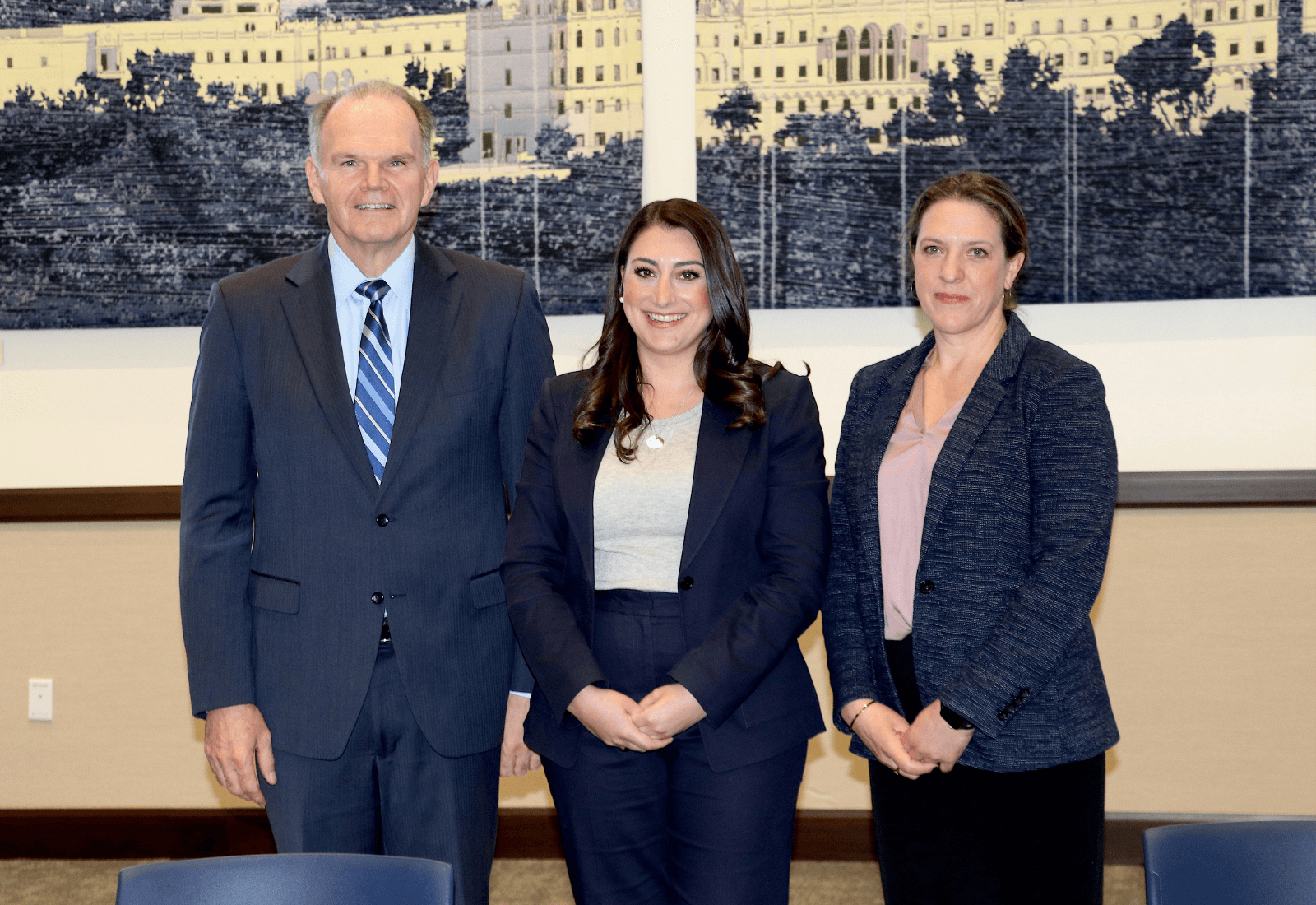 VIP Lab Fellowship - Joan B. Kroc School of Peace Studies - University ...