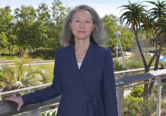 USD School of Law Alumna Susan Cola '95 (JD) Appointed Interim Santa ...