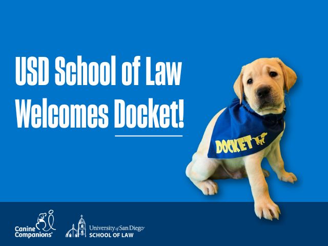 Welcome, Docket: USD School of Law’s Newest Canine Companion - University of San Diego
