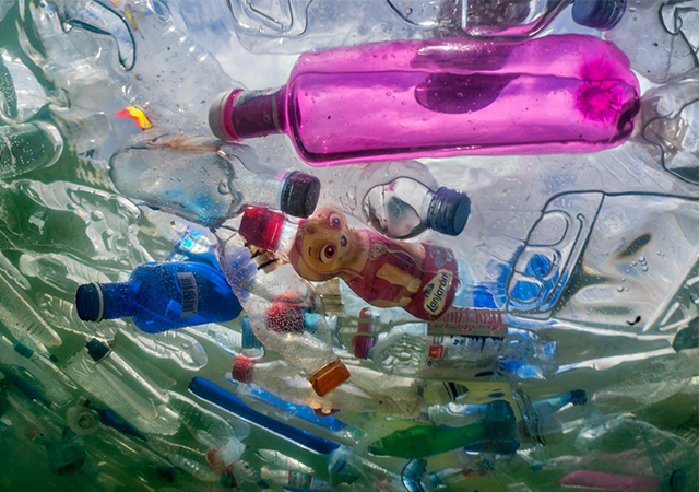 a-running-list-of-action-on-plastic-pollution-university-of-san-diego