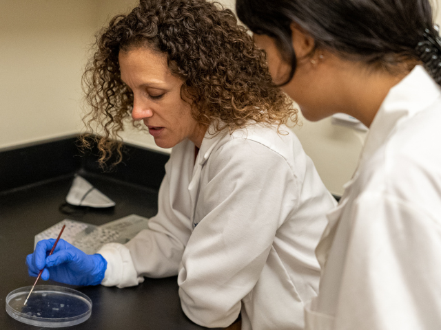 Dr. Jena Hales Recognized as the 2023-2024 Glenn D. White, Jr. '78 ...