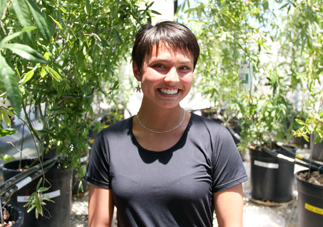 Kroc IPJ's Impact:Peace Initiative Launch is a Success - University of ...