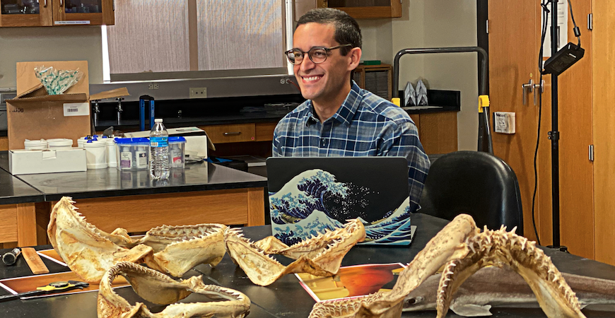USD Professor Featured in National Geographic Channel's 'When Sharks ...